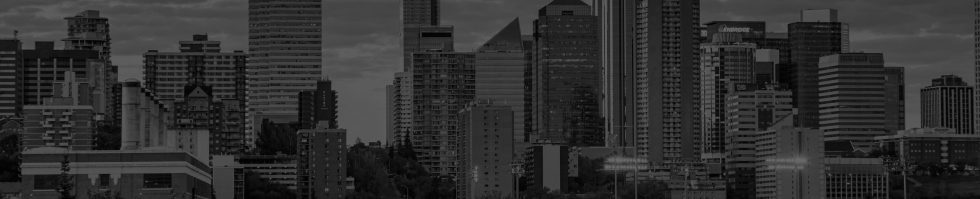 Bison Property Services